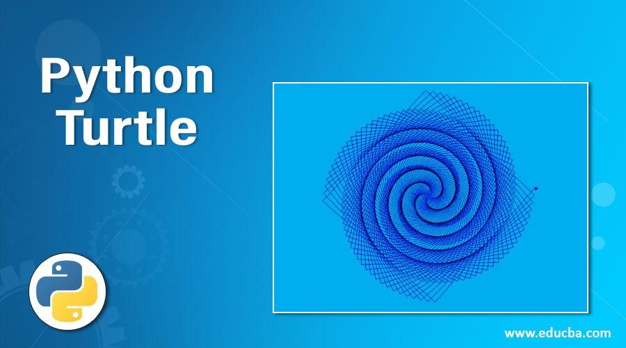 Learn Python With Turtle Graphics Online Kids Classes Science Learn Python With Turtle Graphics Online Kids Classes Science